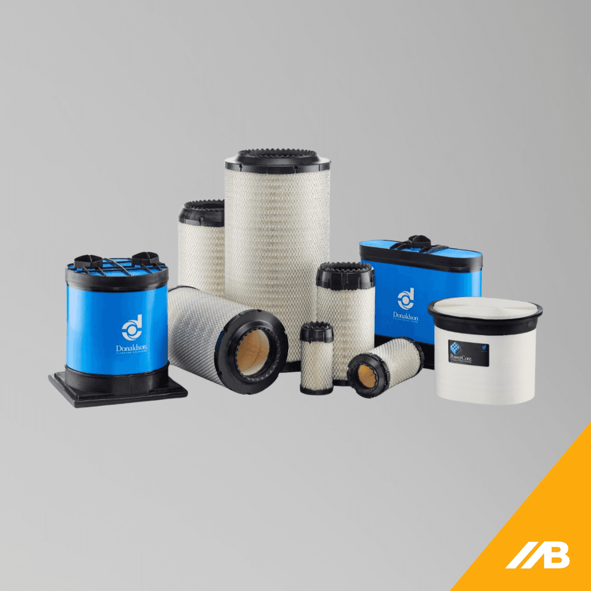 Boar - Keeps you digging