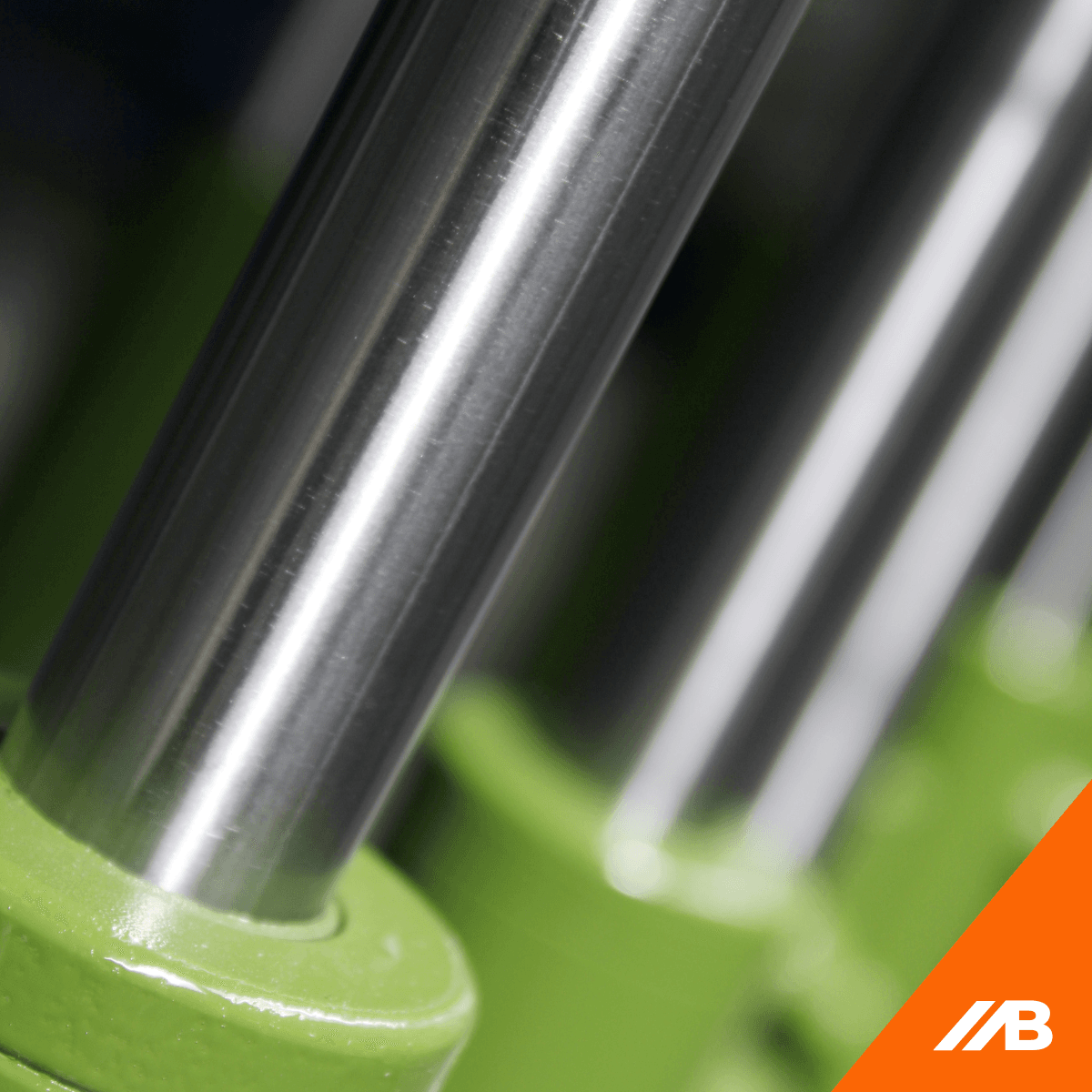 Boar - Keeps you digging